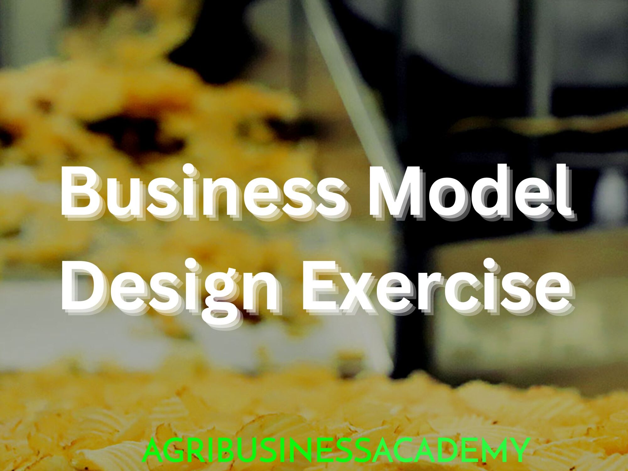 Business Model Design Exercise: The Case of Snack and Ingredient ...
